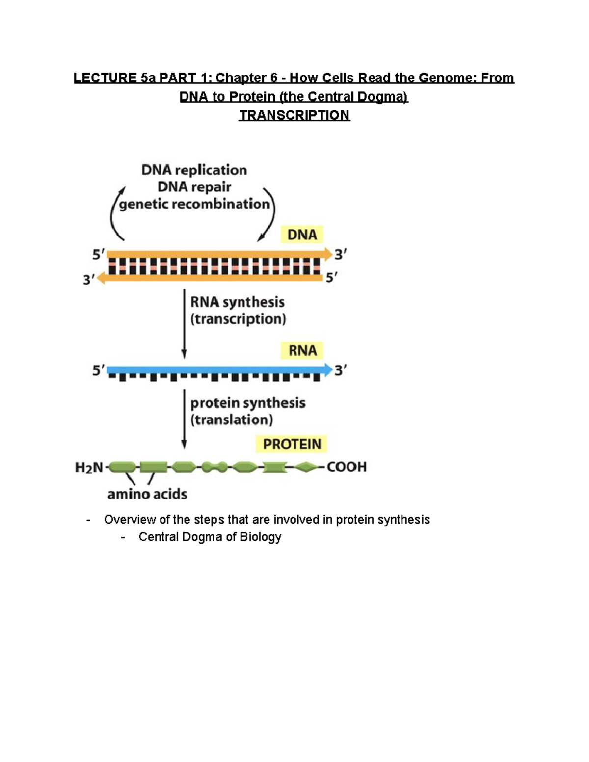 BIO 209 Lecture 5a Notes Part 1 - LECTURE 5a PART 1: Chapter 6 - How ...