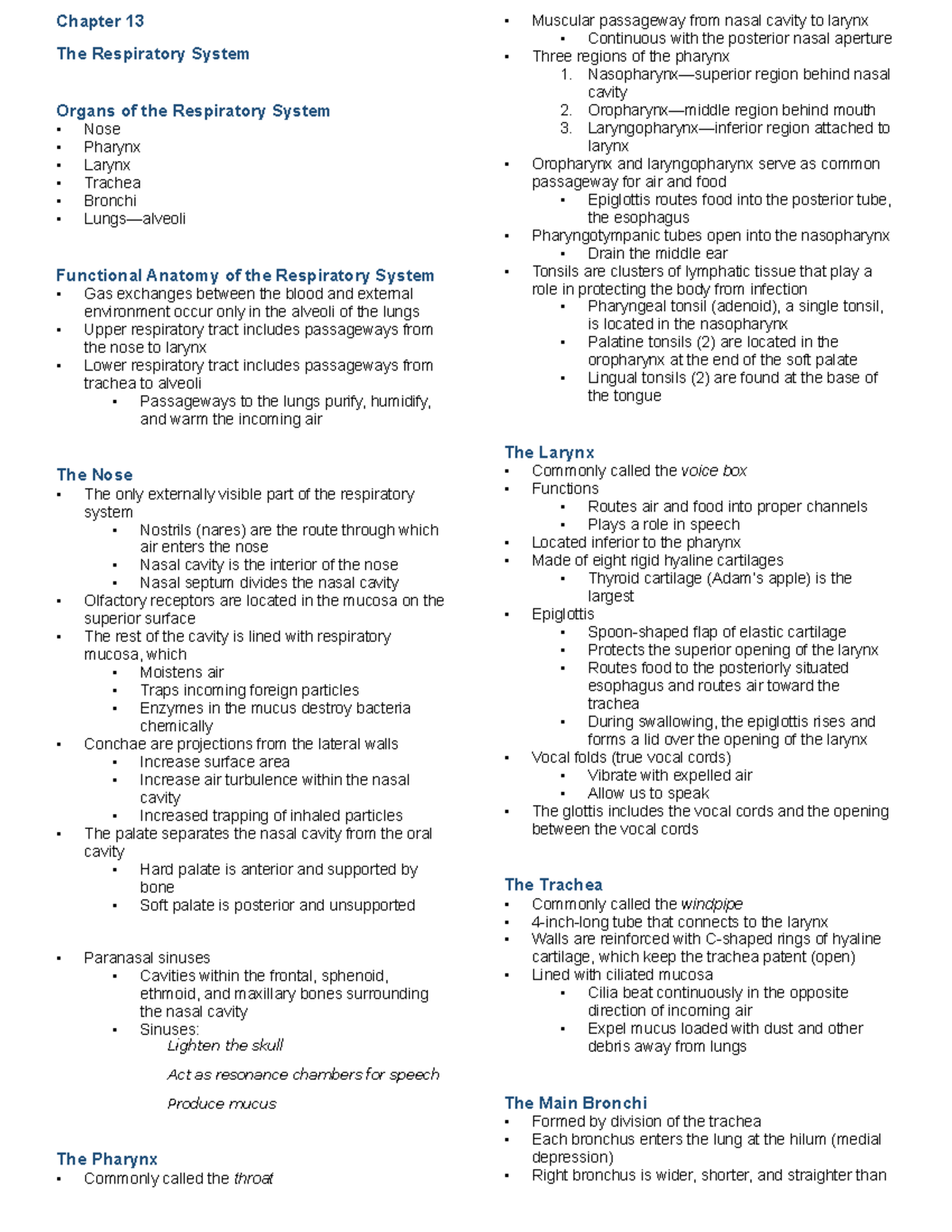 CHAP13 Respiratory System - Chapter 13 The Respiratory System Organs of ...