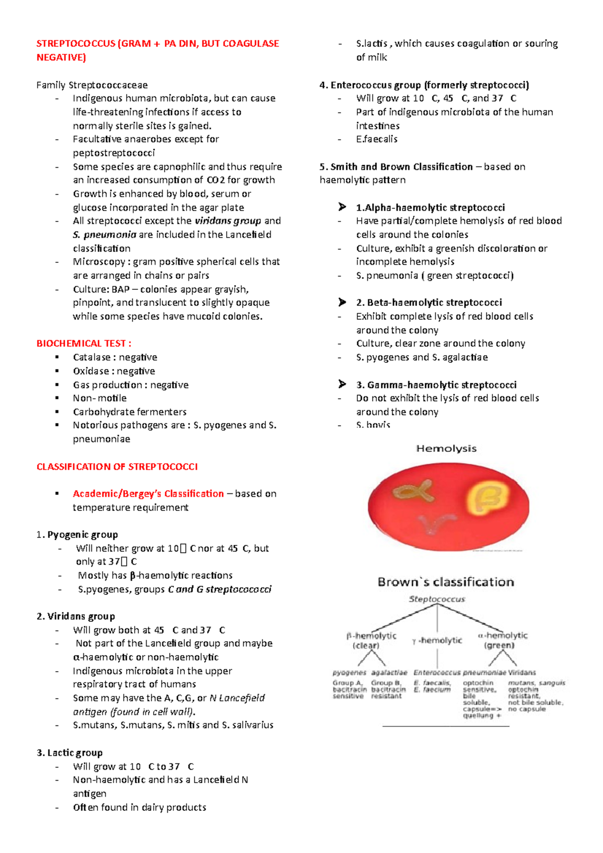 Streptococcus - MICROBIOLOGY- 3rd YR COLLEGE - STREPTOCOCCUS (GRAM + PA ...