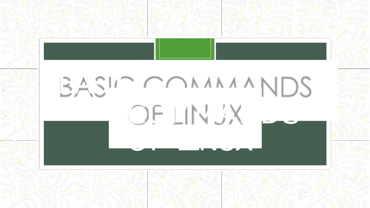 Basic Linux Commands Basic Commands Of Linux Echo Command The Echo