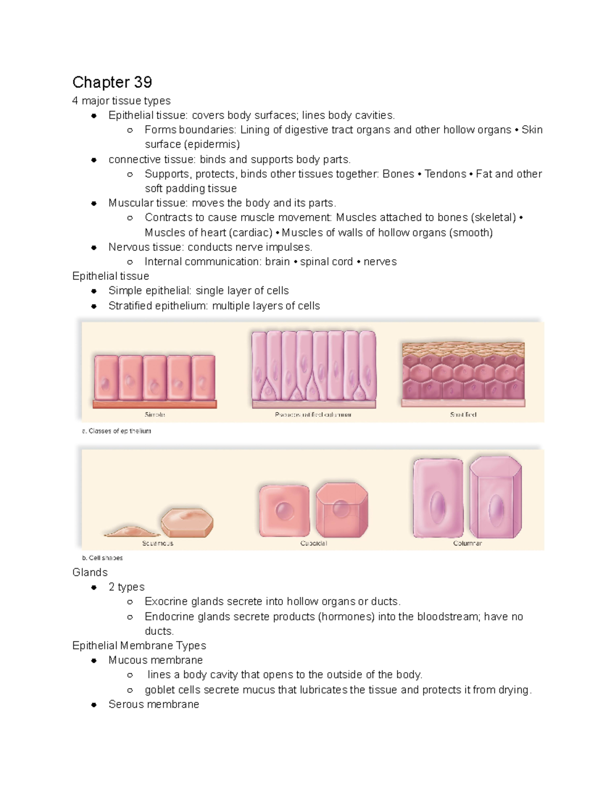 SI~2 20 22 - practice for some topics - Chapter 39 4 major tissue types ...