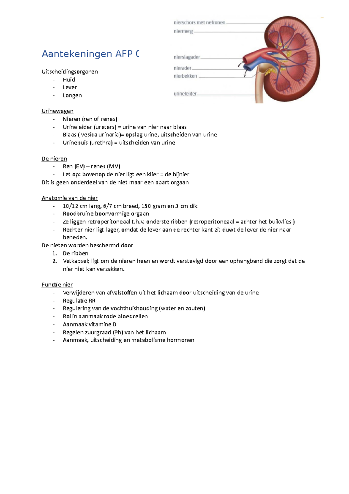 Aantekeningen AFP Urinewegen en nieren - Aantekeningen AFP 08-02 ...