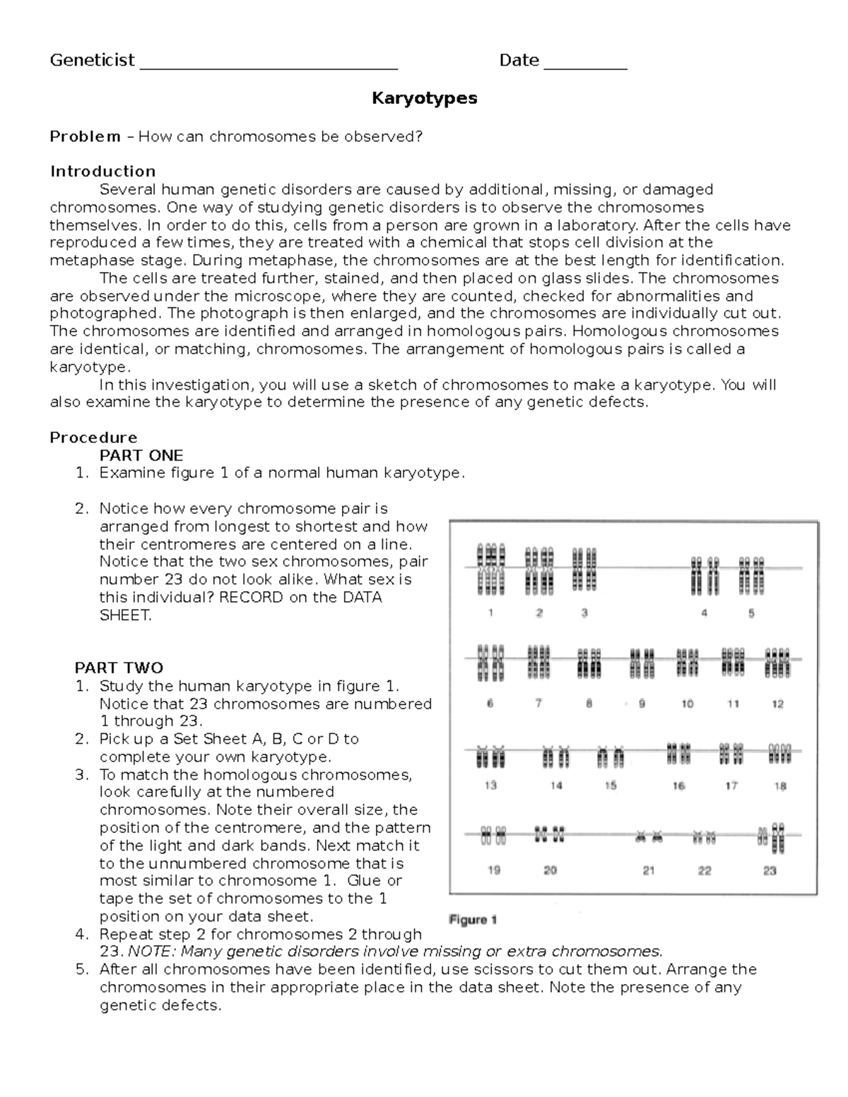 Karyotypes - Notes from the teacher - Geneticist ...