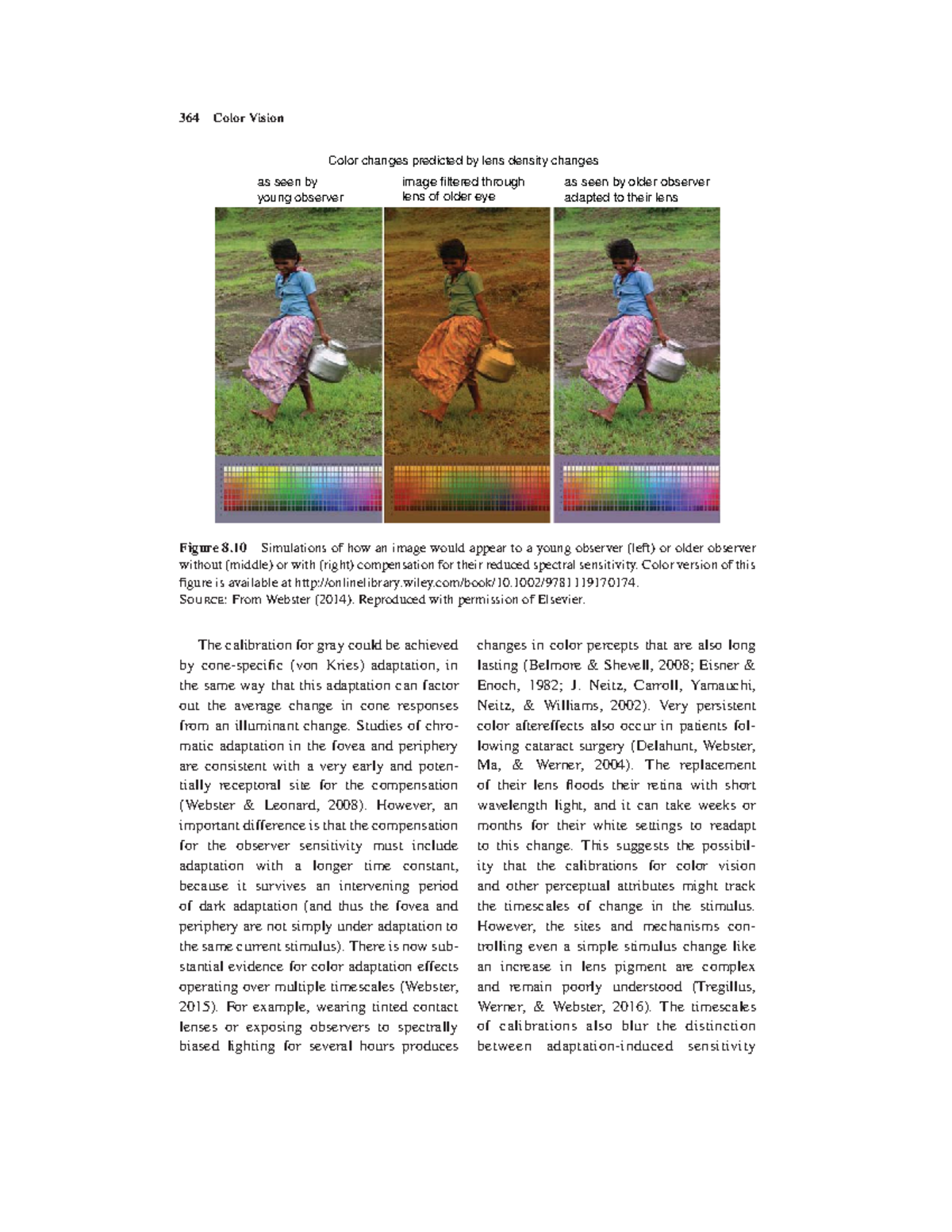 Handbook of experimental psychology and cognitive neuroscience 122 ...