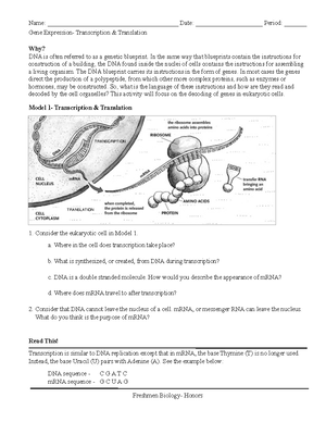 Chapter 14 Peripheral Nervous system outline - BIO-101-D04 - Wor–Wic CC ...