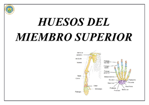 6-articulacion cara verterbras- anatomia- cuadro sinoptico - ARTICULACIONES DE LA CABEZA, CUELLO ...