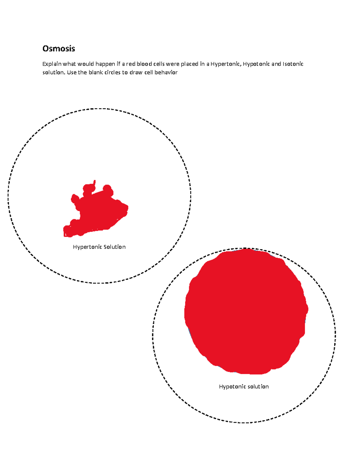 Osmosis work done - a compiled note - Osmosis Explain what would happen ...