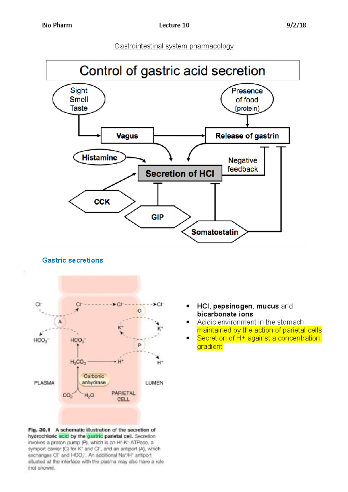 Gastrointestinal system pharmacology - Bio Pharm Lecture 10 9/2/18 ...
