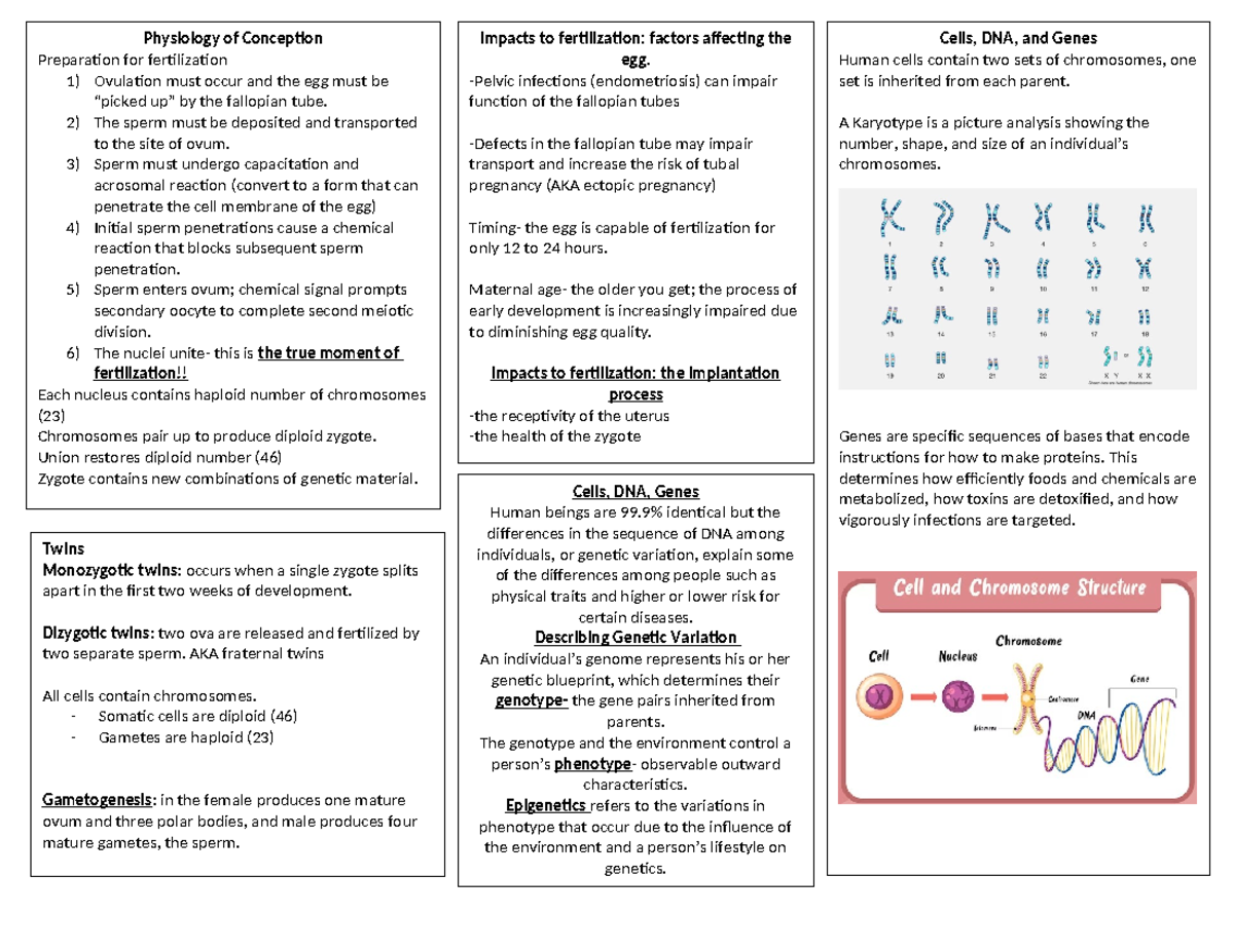 Unit 1 Genetics self study notes - Physiology of Conception Preparation ...