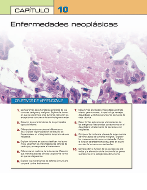 Mecanismos de infección - MECANISMO DE LA INFECCIÓN MICROBIOLOGÍA ...