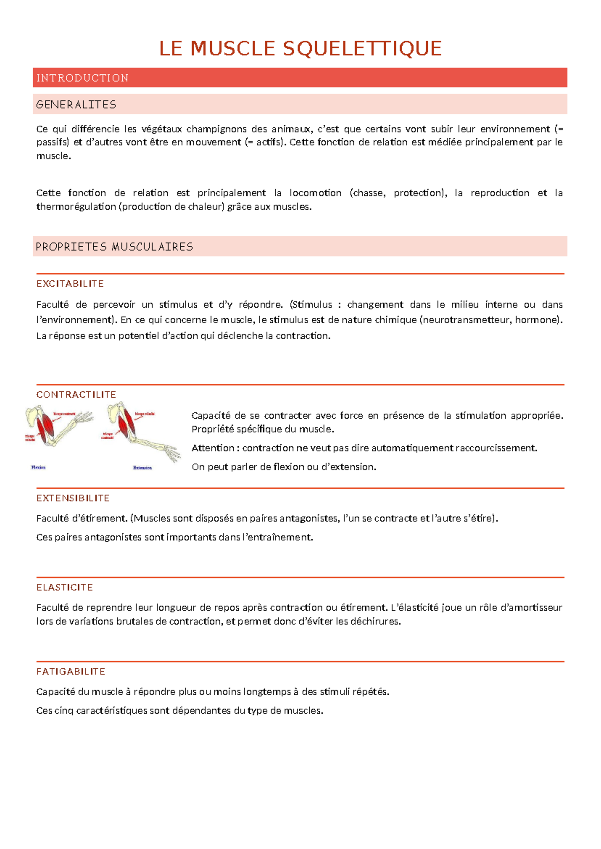 Muscle squelettique - LE MUSCLE SQUELETTIQUE INTRODUCTION GENERALITES ...