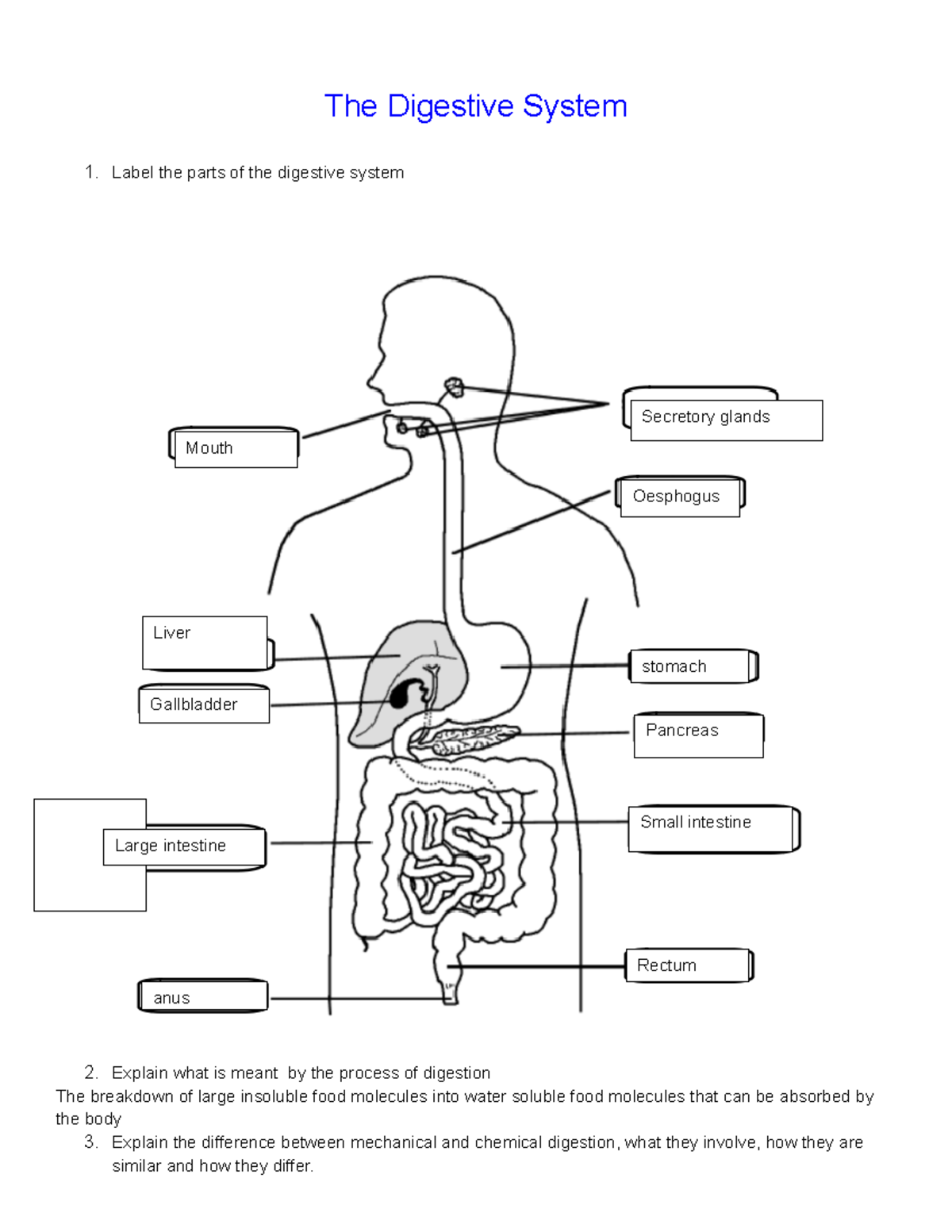 Neha ANUP - Digestive System - The Digestive System 1. Label the parts ...