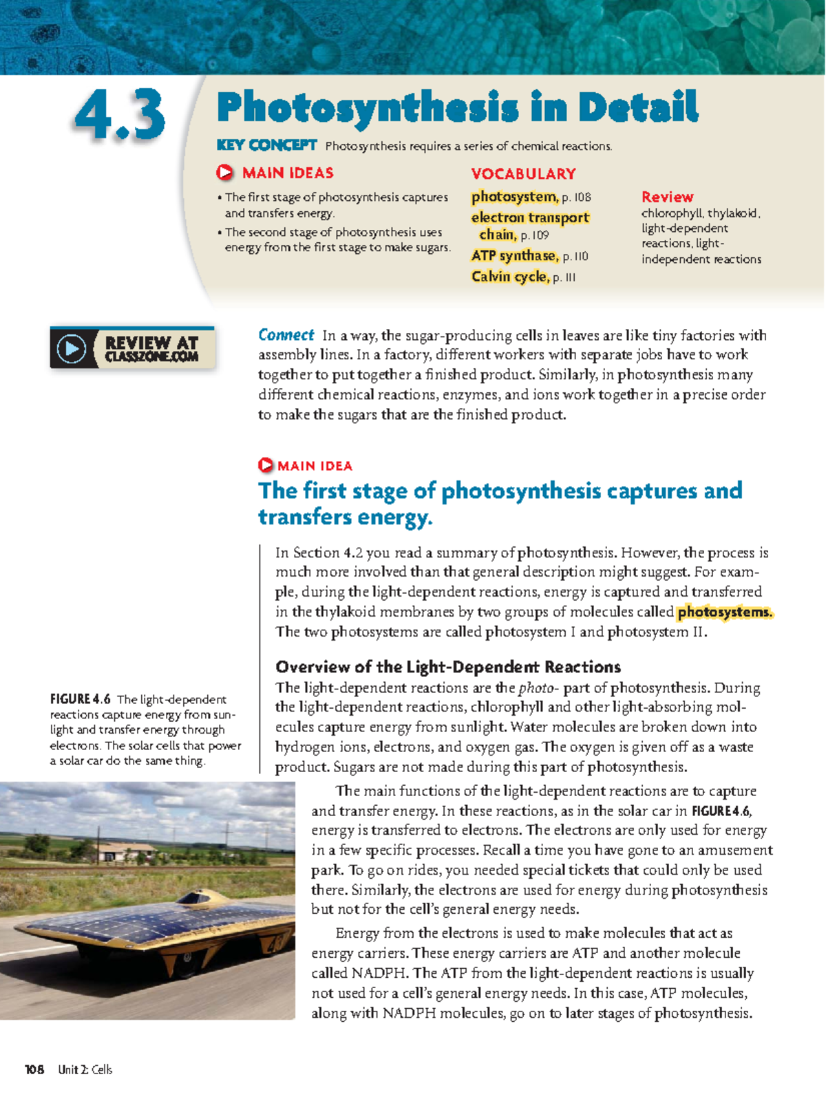 Biology Worksheet - FIGURE 4 The light-dependent ####### reactions ...