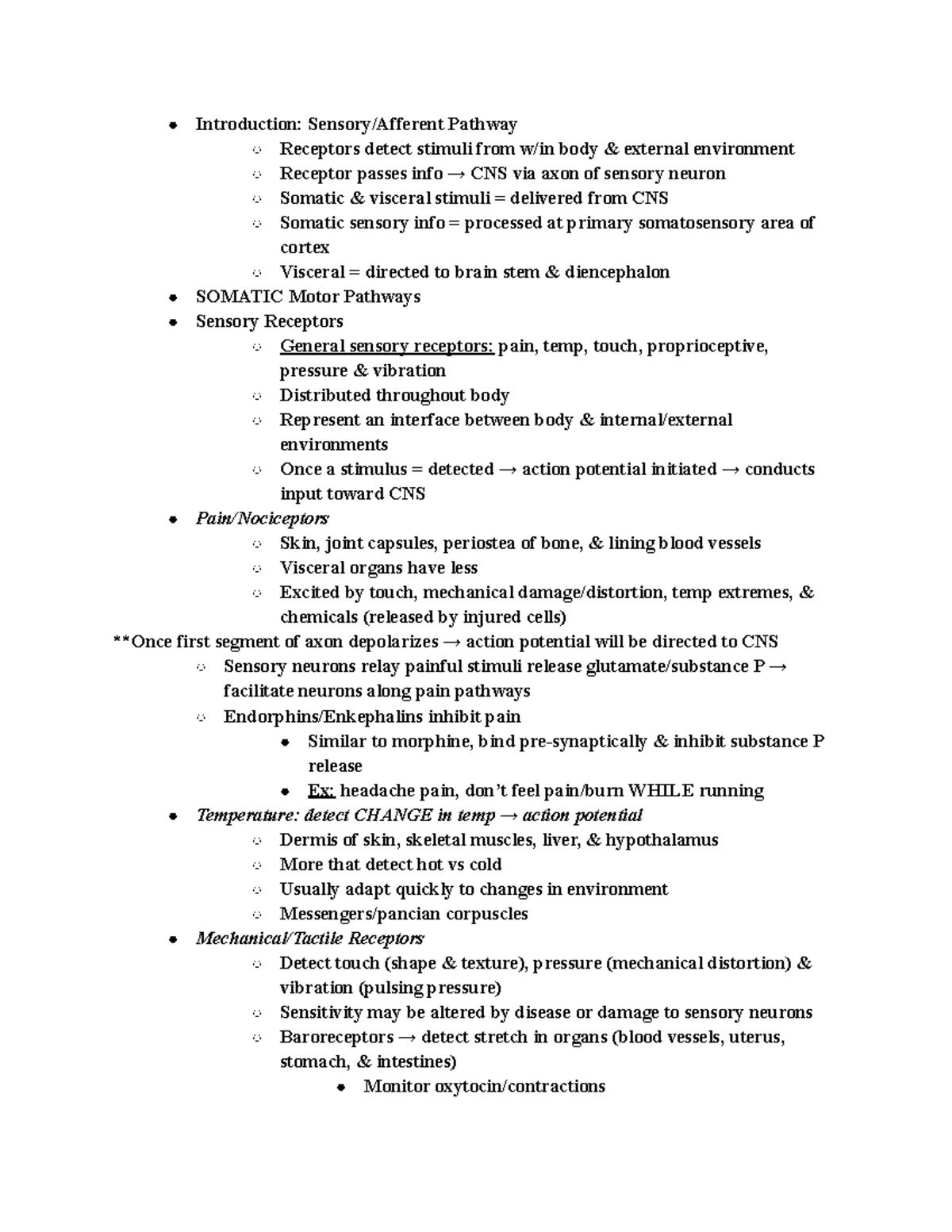 anatomy-notes-13-bi-206-studocu