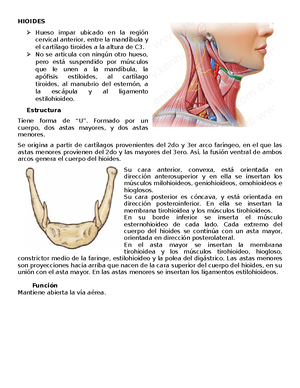 Región superciliar - anatomia topografica cabeza y cuello apuntes ...