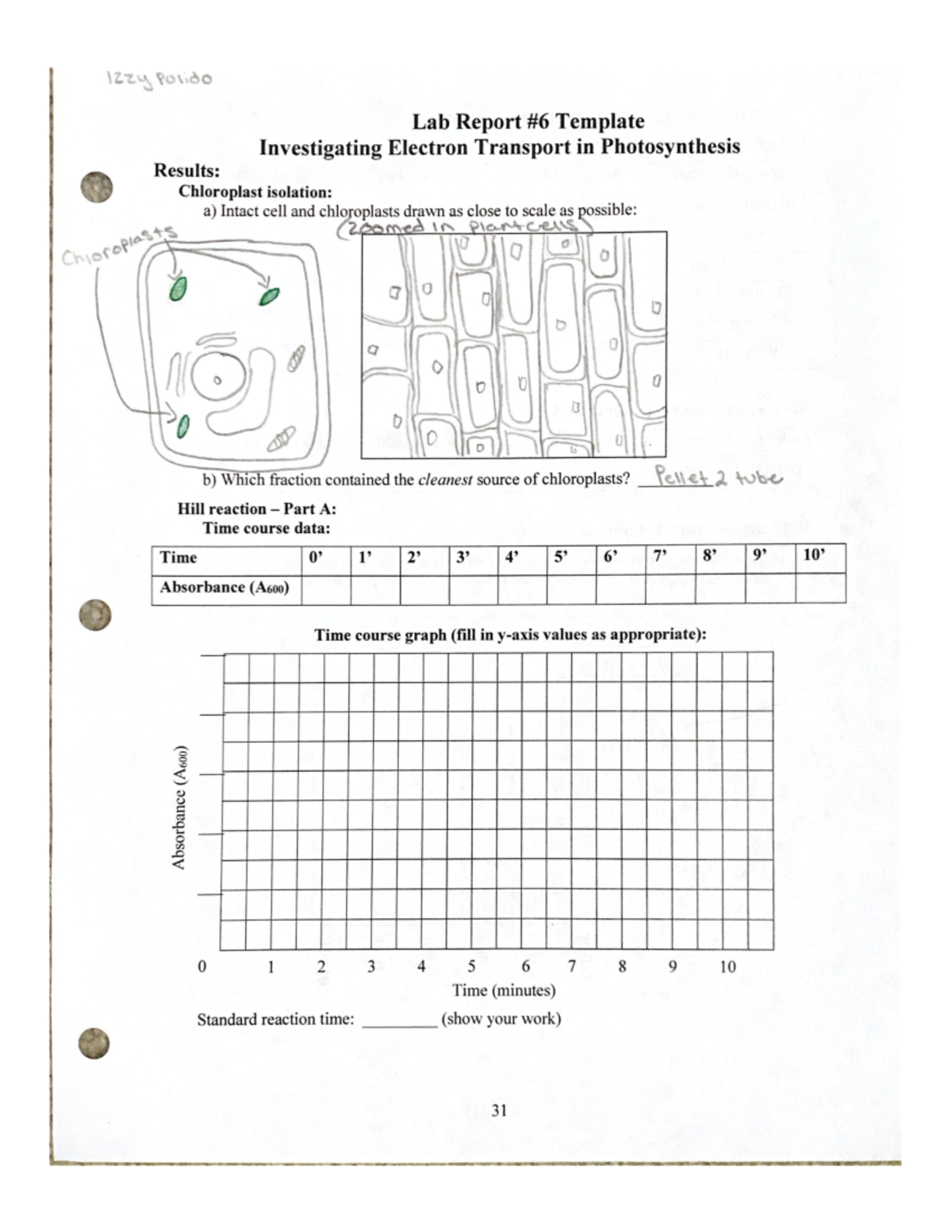 Lab 6 results - BIO 161 - Studocu