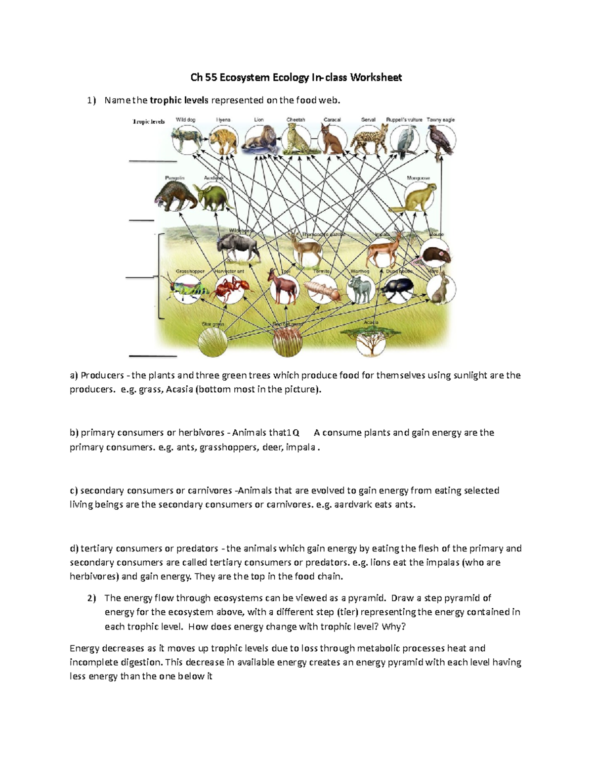 55 Ecosystem Ecology Worksheet - Ch 55 Ecosystem Ecology In-class ...