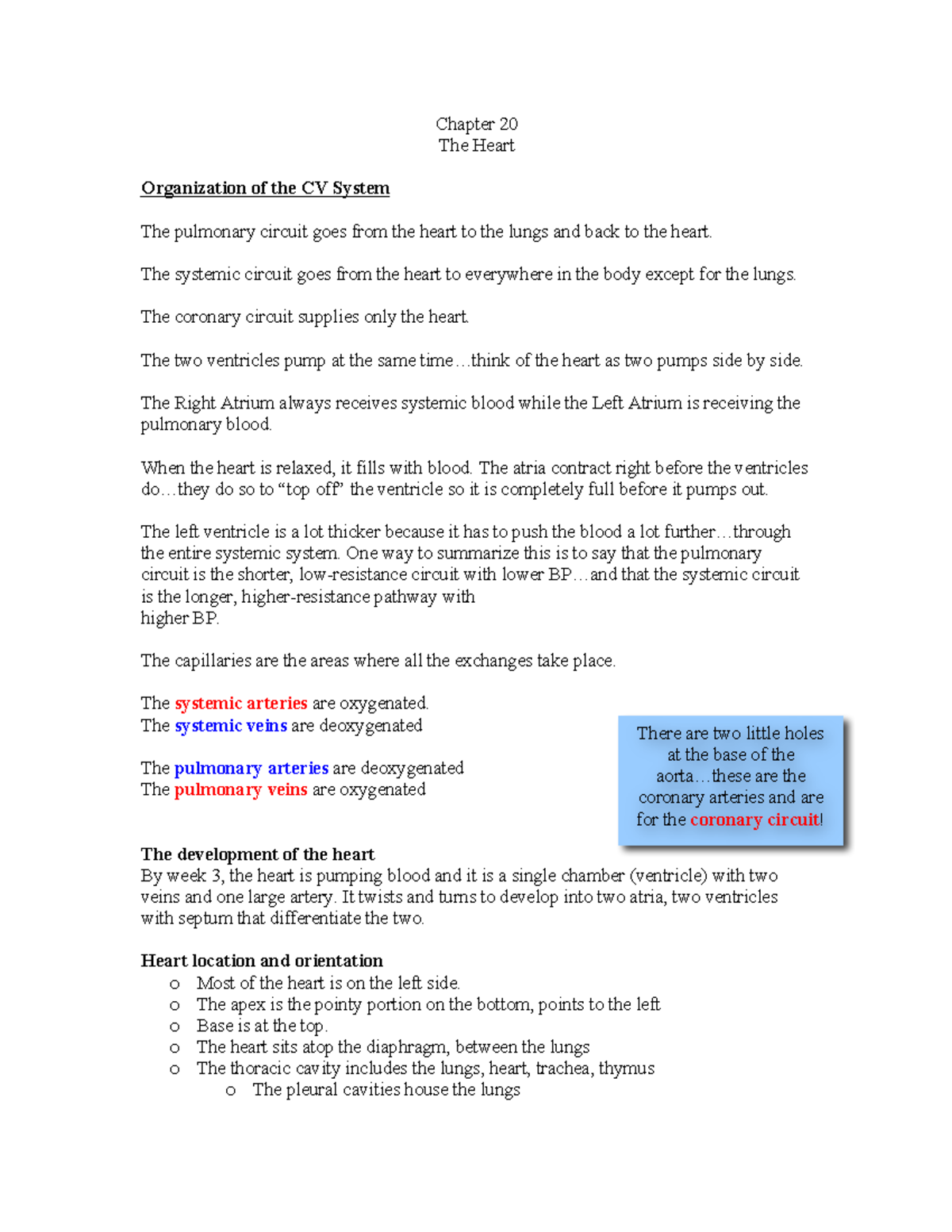 AP 20 The Heart - 📝nites - Chapter 20 The Heart Organization of the CV ...
