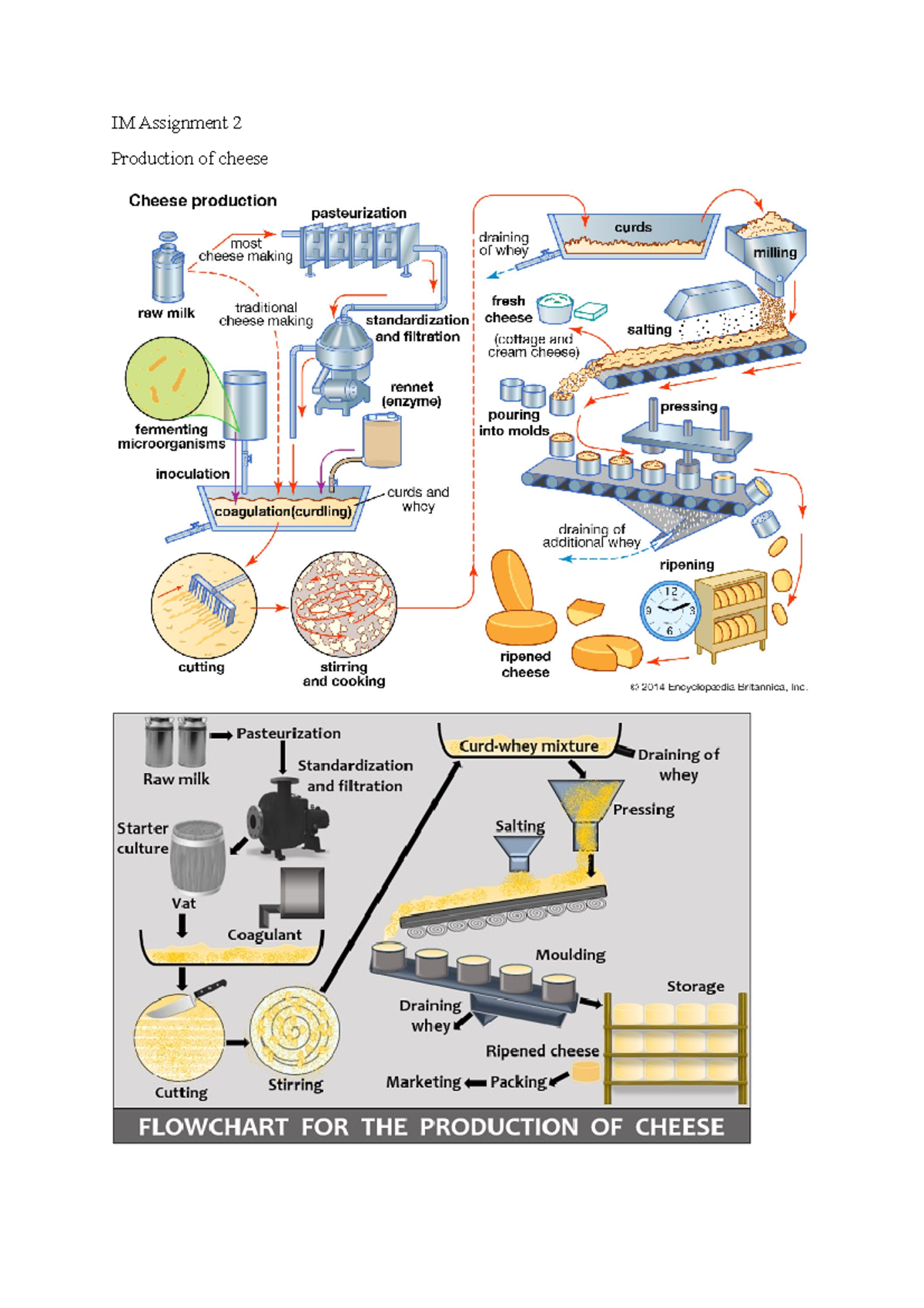 IM Assignment 2 - htm Cheese is made by culturing milk with lactic acid ...