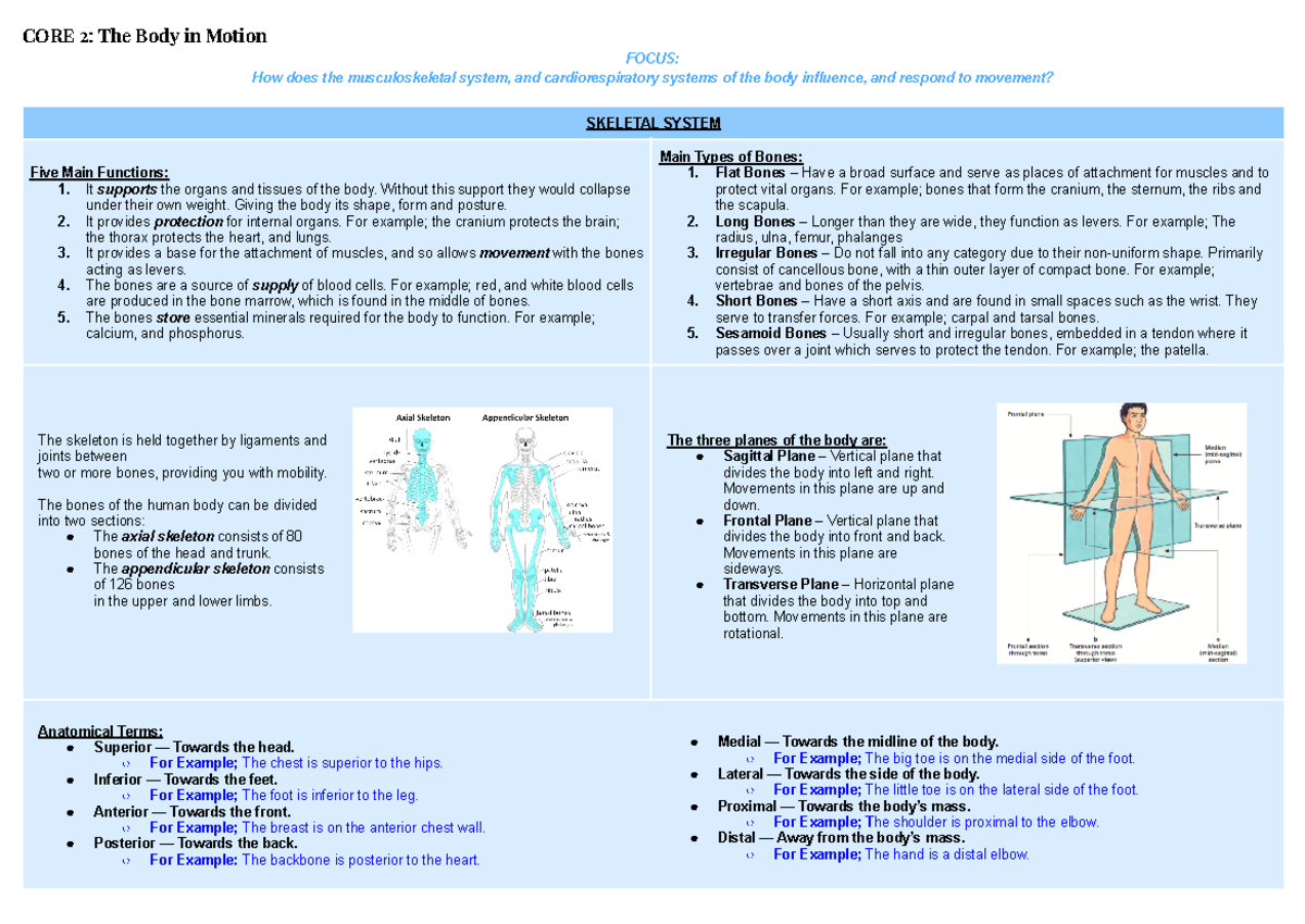 PDHPE - Preliminary CORE 2 - The Body in Motion - CORE 2: The Body in ...