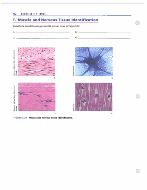 BIOL291 Chapter 4 Quiz Tissues S22 - BIOL 2401 Quiz Tissues Name