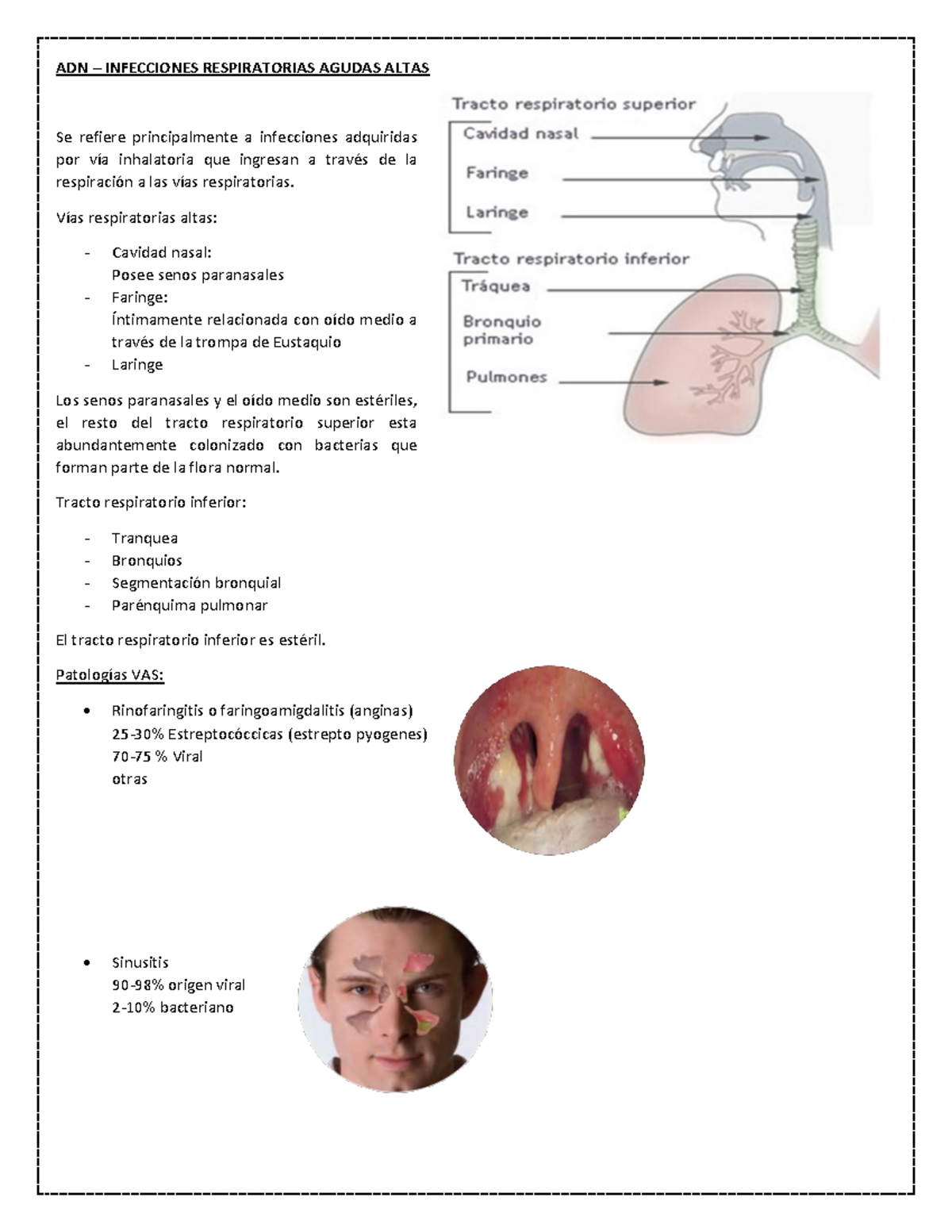 7- Infecciones de Vías Aereas Altas - Warning: TT: undefined function: 32 Warning: TT: undefined ...