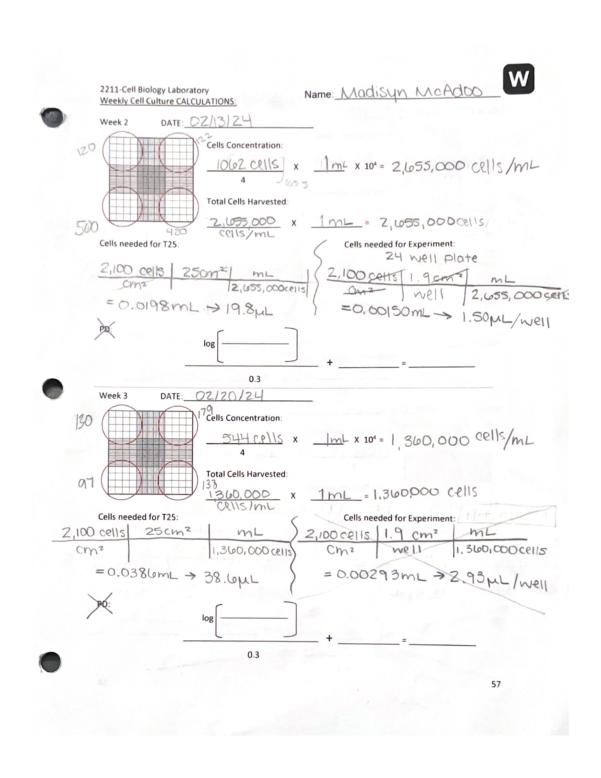 Weekly Calculations of Cell Count - Bio 2203 - Studocu