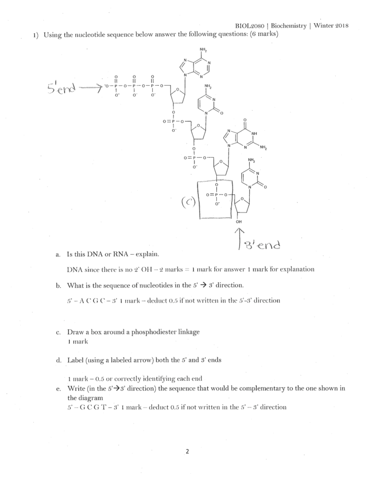 Midterm 1 2018 biochem - BIOL2080U - Studocu