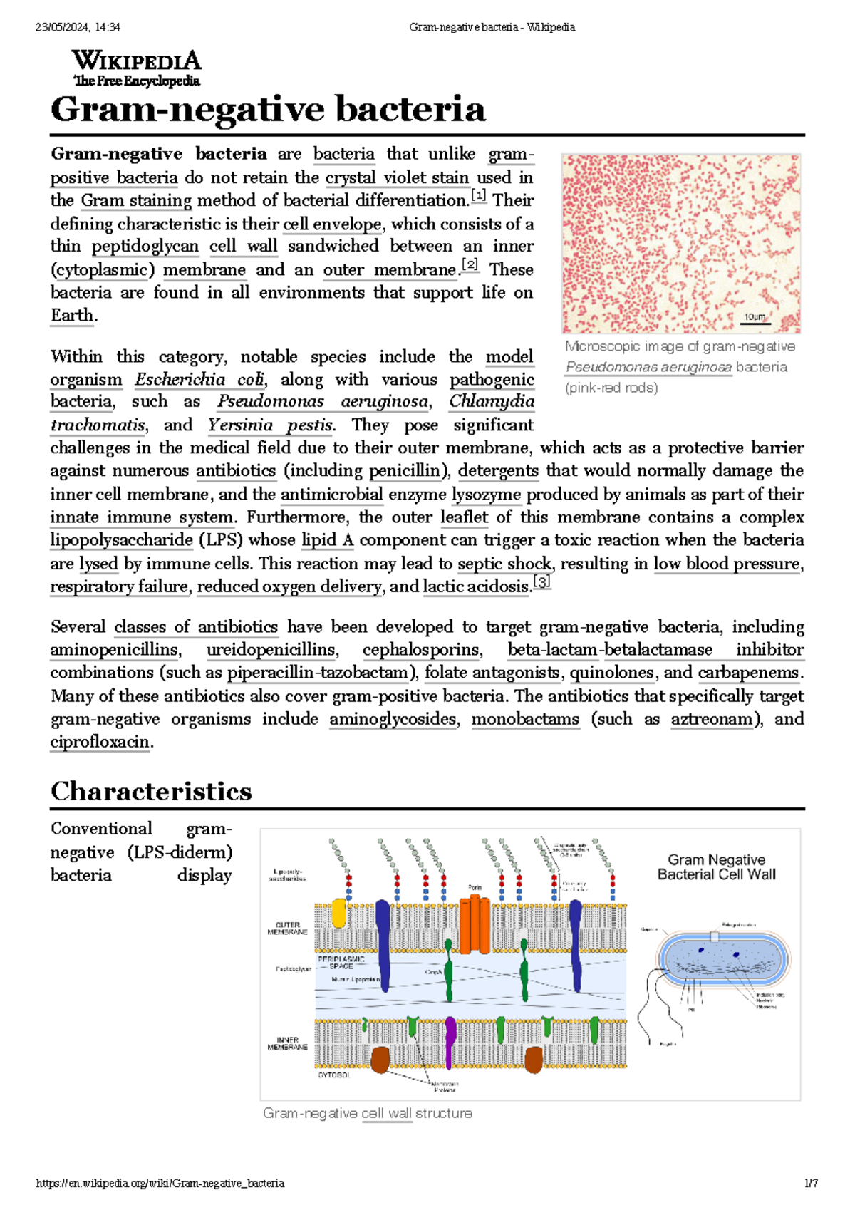 Gram-negative bacteria - Wikipedia - Microscopic image of gram-negative ...