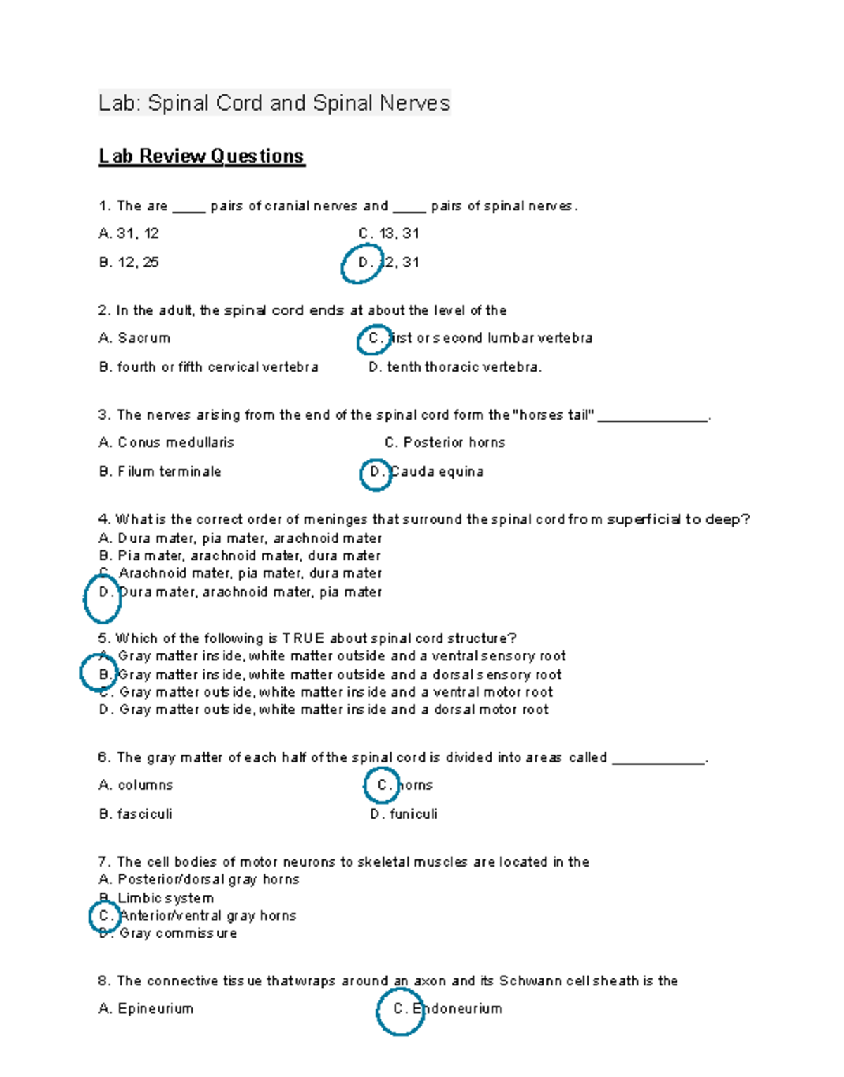 AP2 Lab Spinal Cord and Spinal Nerves+Lab+Review+Questions - Lab ...