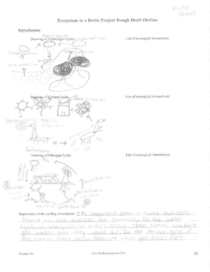 Bio chapter 16 and 17 ecology - Chapter 16: Population Ecology 16 What ...