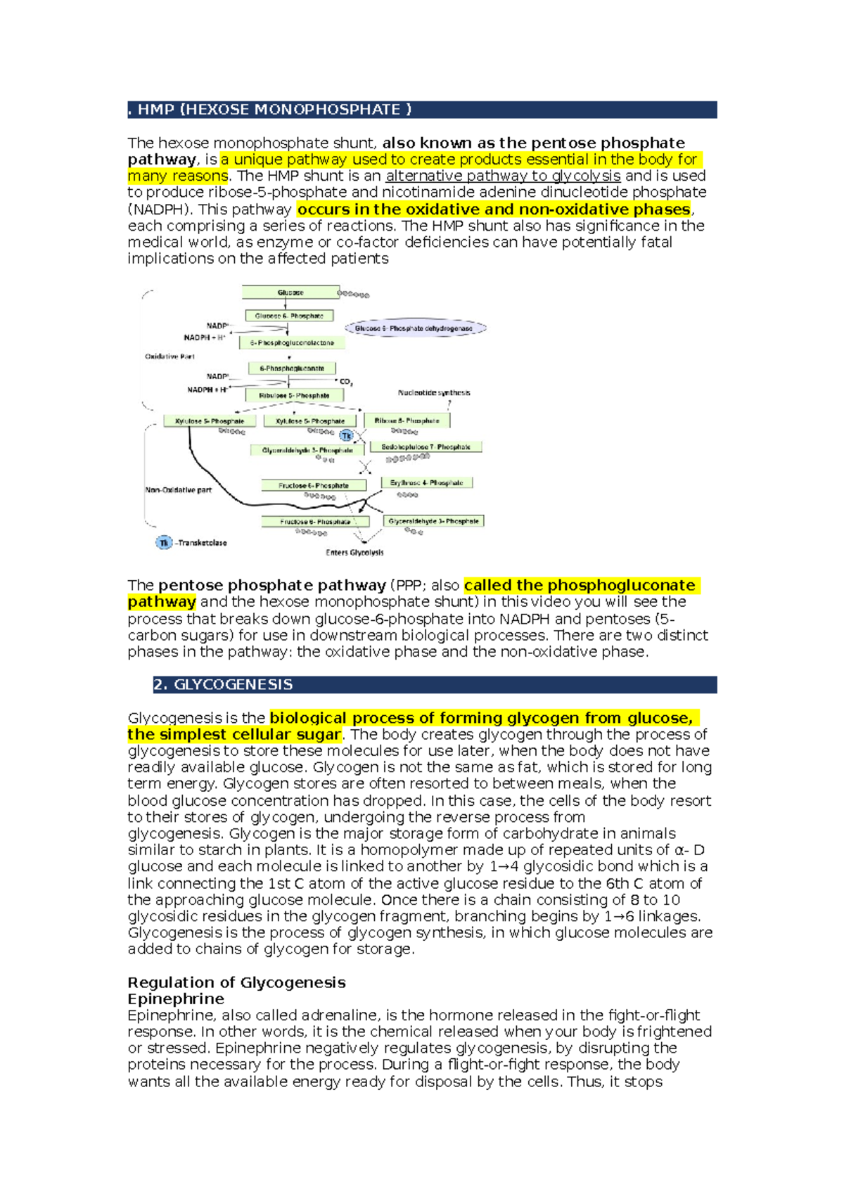 HMP AND Glycogenesis - The hexose monophosphate shunt, also known as ...