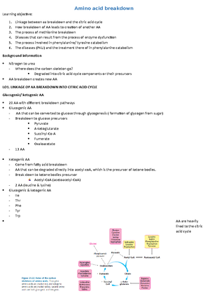 Lecture 6 - RNA splicing and processing - BIO Week 6: RNA splicing and ...