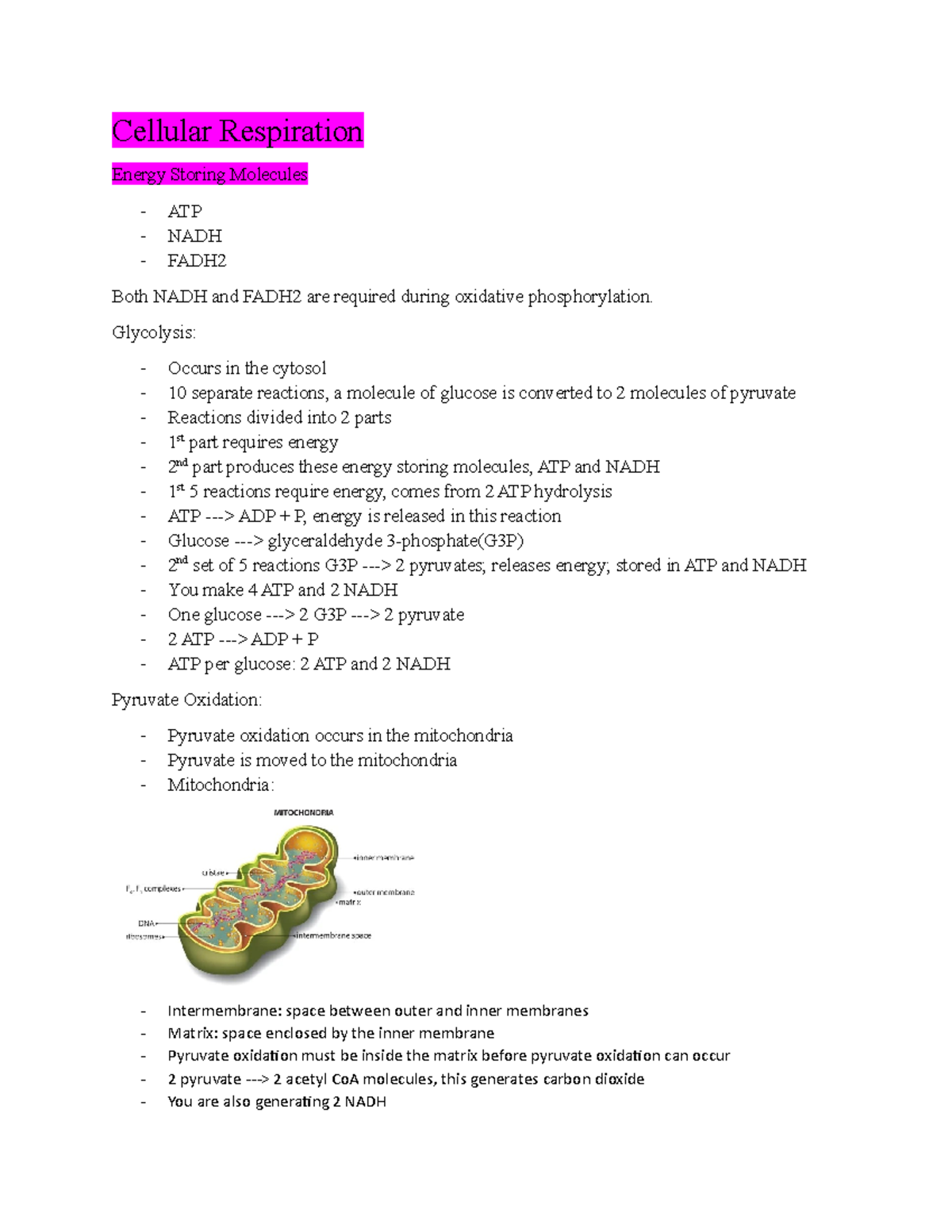 Cellular Respiration Lecture - Cellular Respiration Energy Storing ...