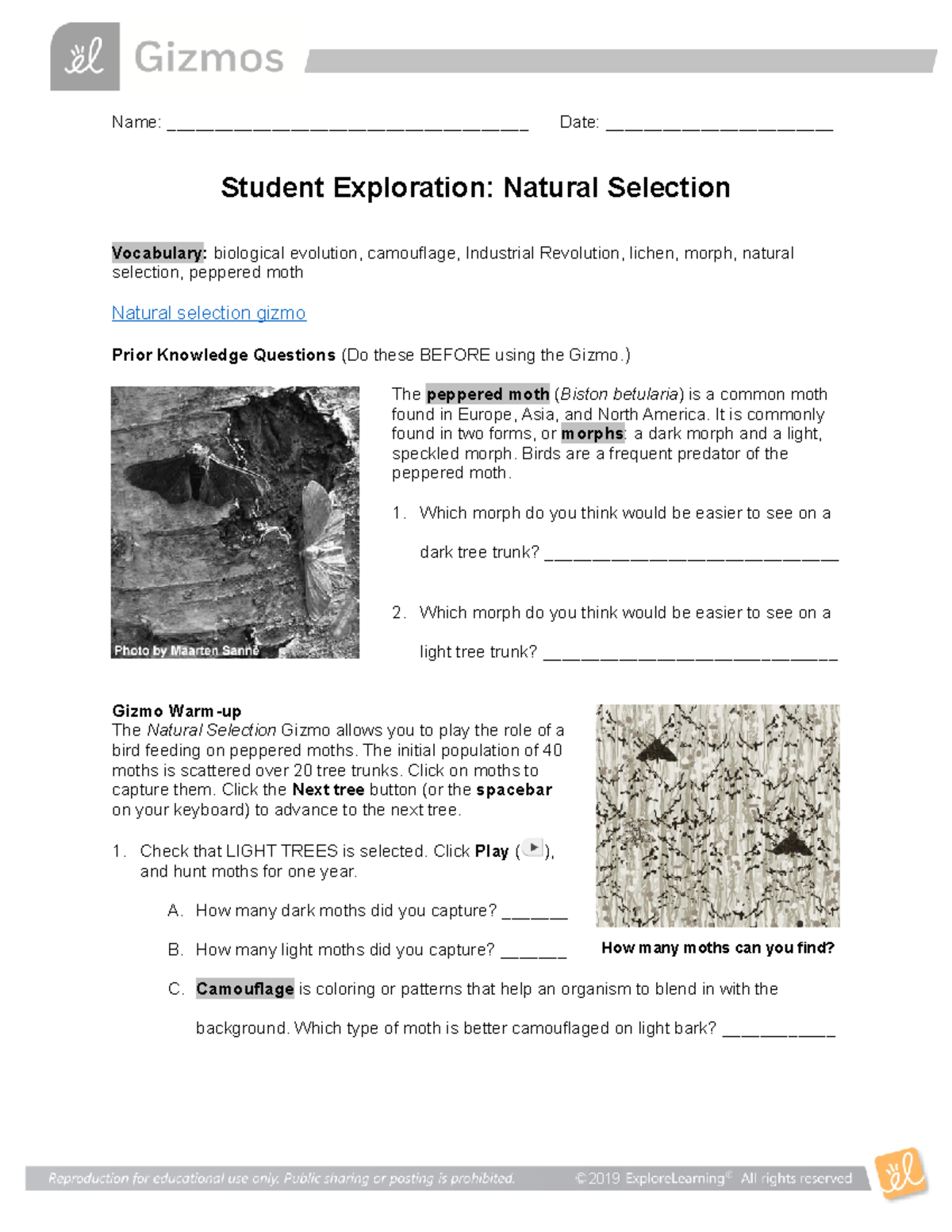 Natural Selection Gizmo worksheet - Name ...