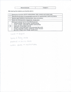 Kami Export - Oliver Harris - Bird Beaks As Tools-Student HO-act ...