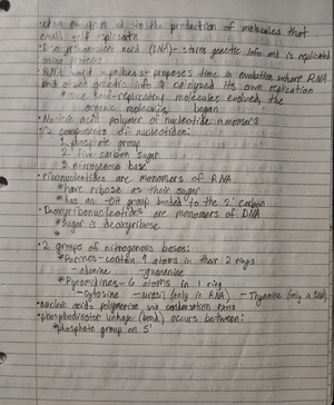 Stages of mitosis in garlic root tip cells - Sizes of A. sativum root ...