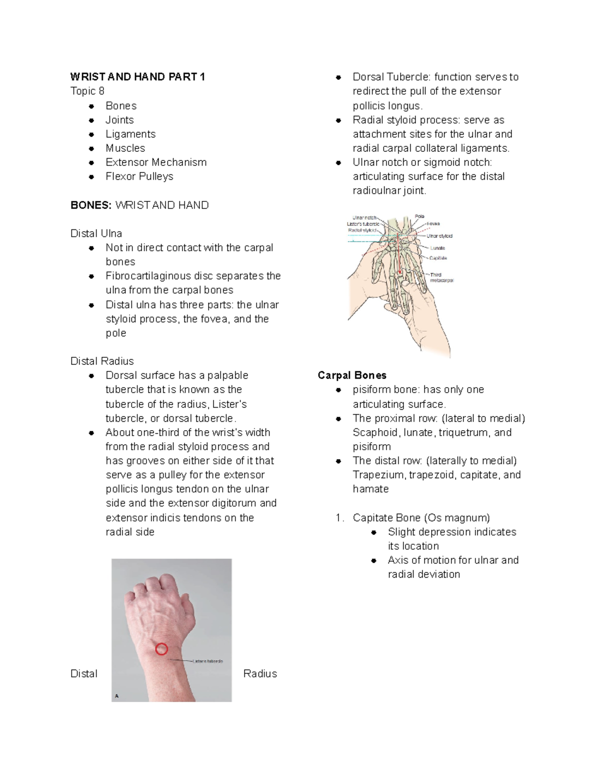 Wrist and Hand - Kinesiology (Part 2) - WRIST AND HAND PART 1 Topic 8 ...