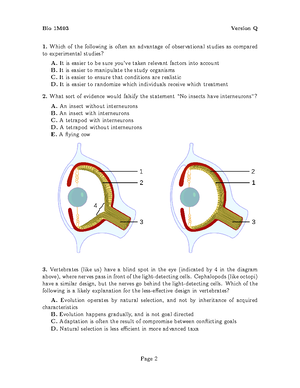 Nissl Staining Method brain for Assignment 1 - Nissl Staining Method ...