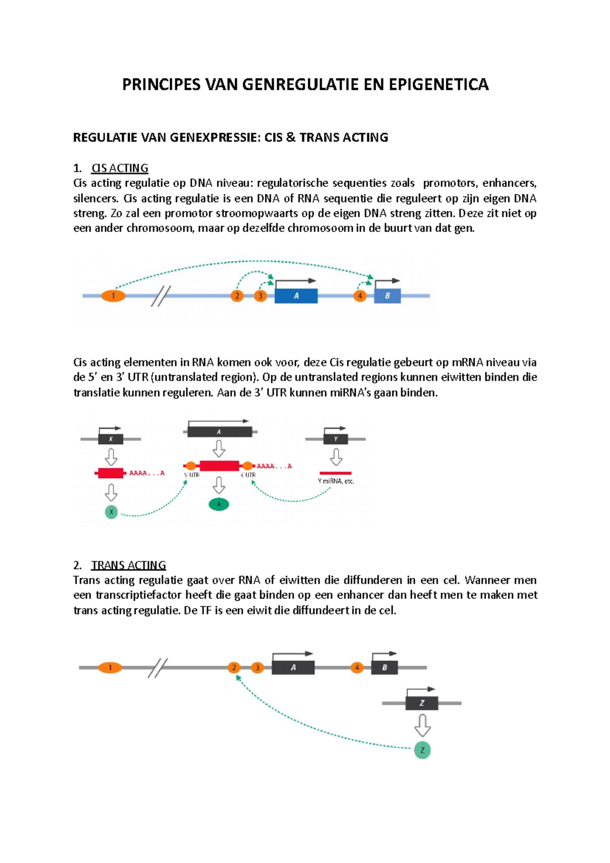 1. Principes VAN Genregulatie EN Epigenetica - PRINCIPES VAN ...