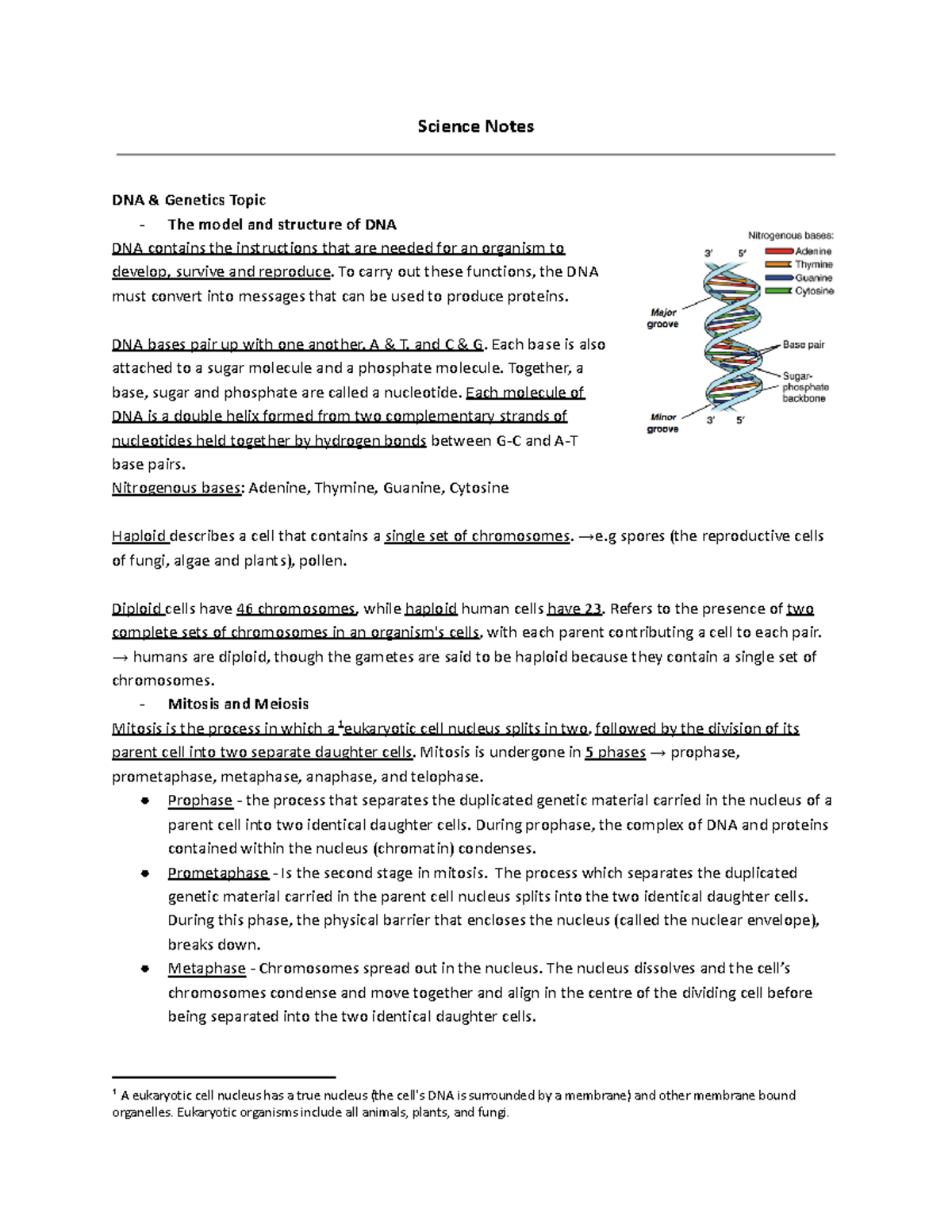 Science Final Notes - Science Notes DNA & Genetics Topic - The model ...