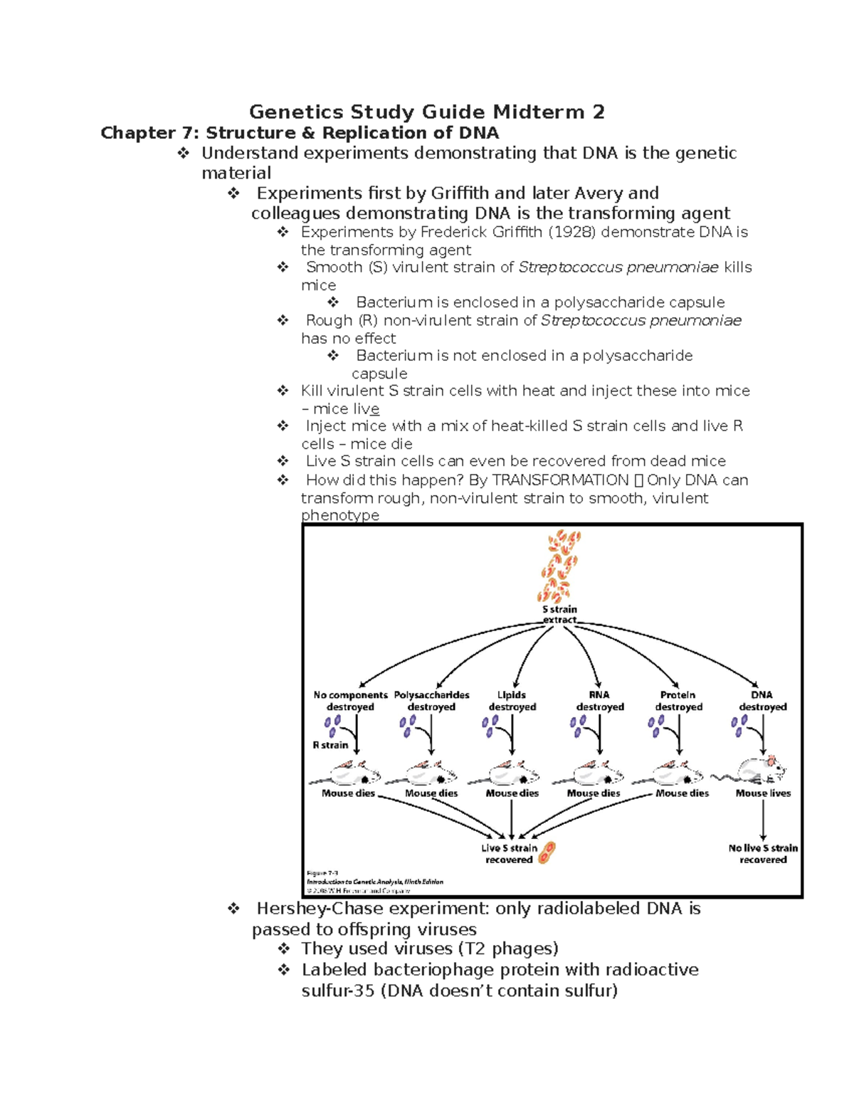 Genetics Study Guide Midterm 2 - Genes—the hereditary “factors ...