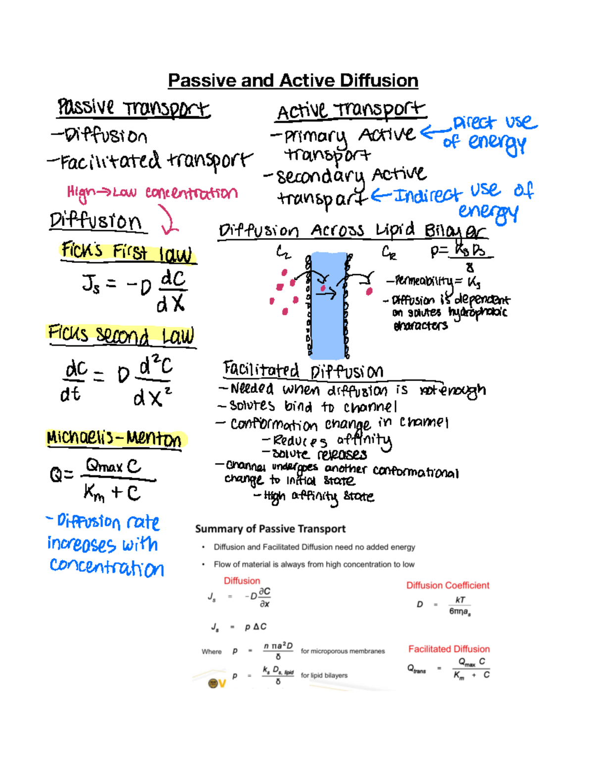 Lecture 4 - Passive and Active Diffusion - Passive Transport active ...