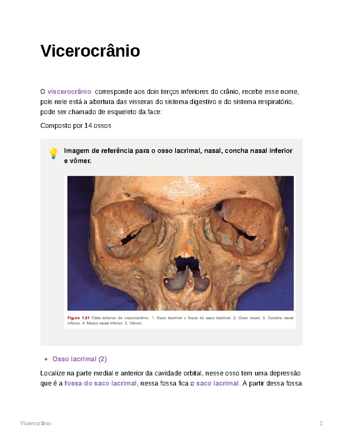 Vicerocrnio - Resumo da aula da professora Marcelle Rossi do ...