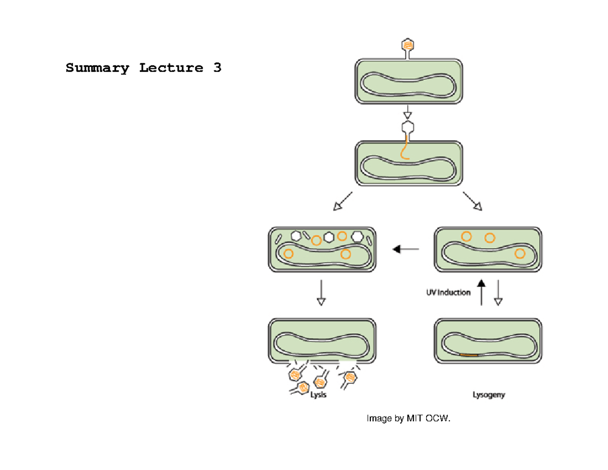 Biology notes - Summary Lecture 3 Image by MIT OCW. L4: Cooperativity ...
