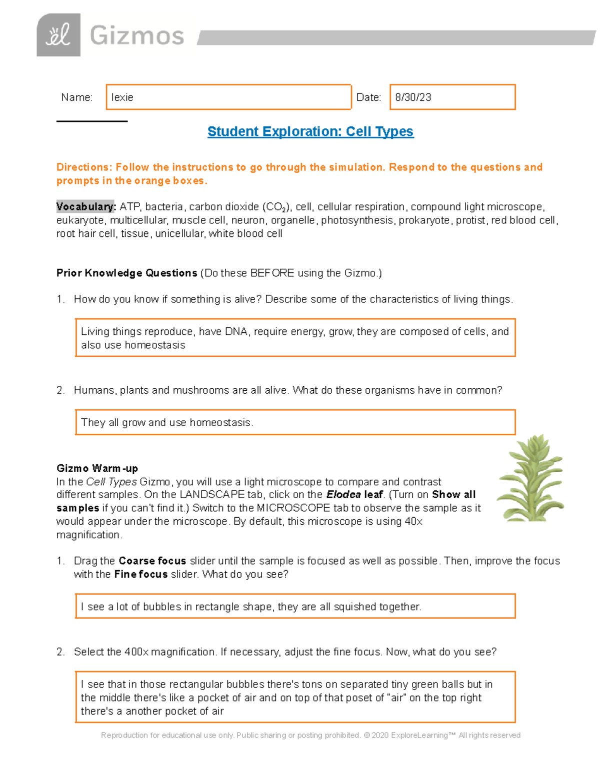 Gizmo Cell Types and characteristics - Name: lexie Date: 8/30/ Student ...