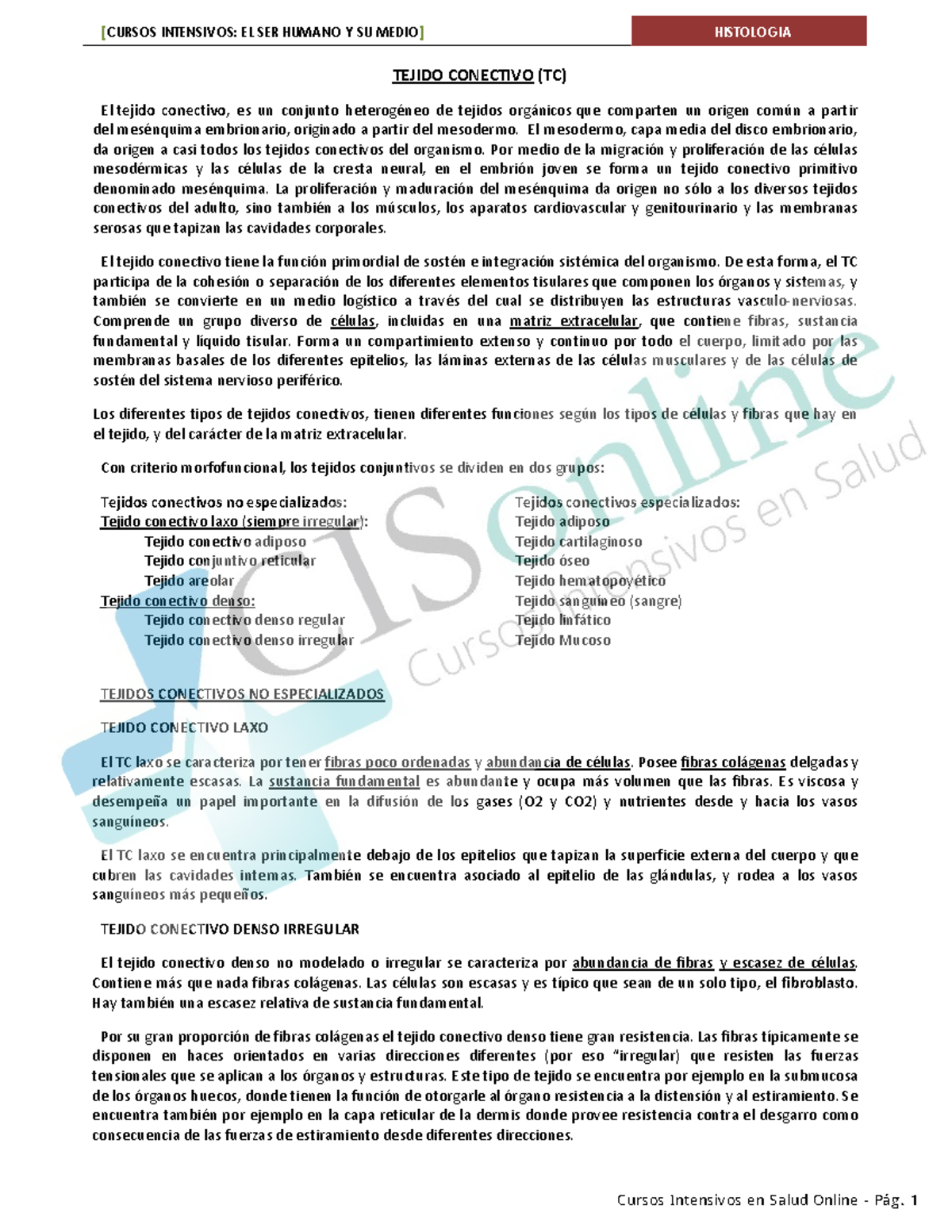 2 Histo Warning Tt Undefined Function 22 Warning Tt Undefined Function 23 Warning Tt