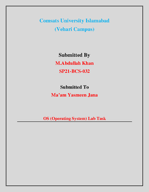 Final Document - COMSATS University Islamabad (CUI) Survivors Land By ...