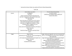 Respiratory Failure - Dr. Shannon Dusack, BSN, RN, CNP - Critical Care ...