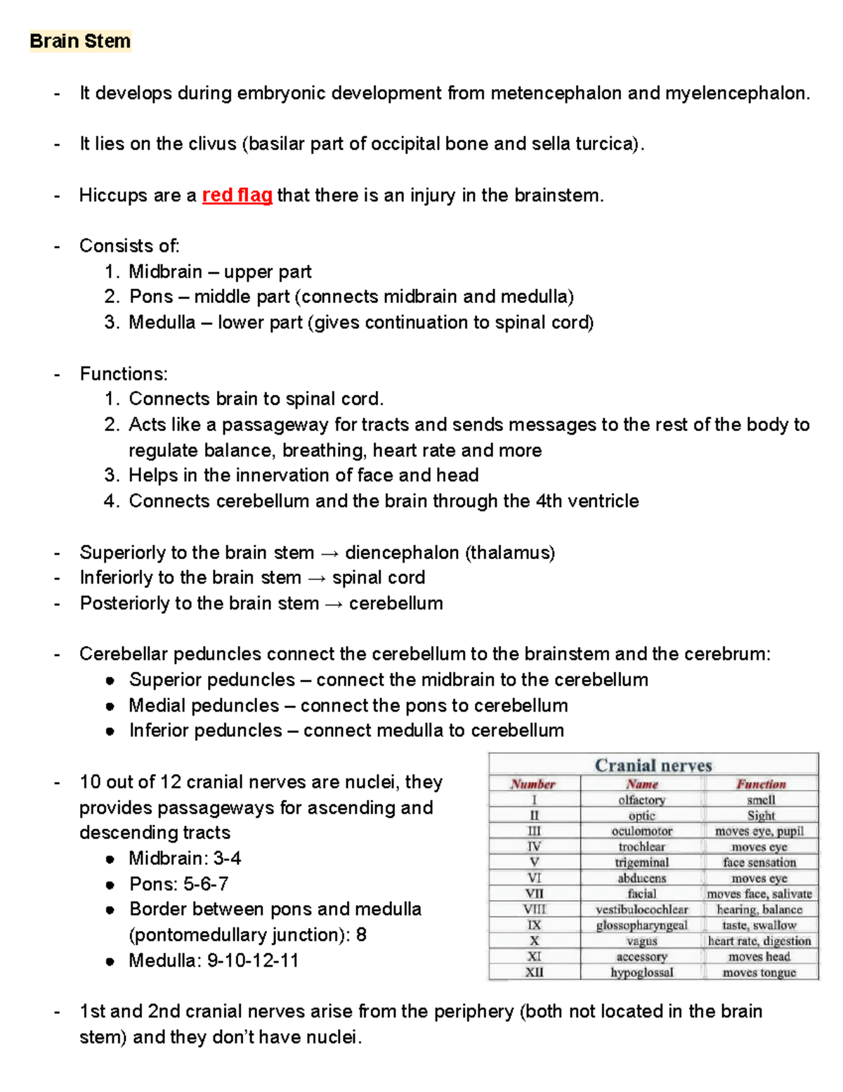 Brain stem anatomy - Brain Stem It develops during embryonic ...